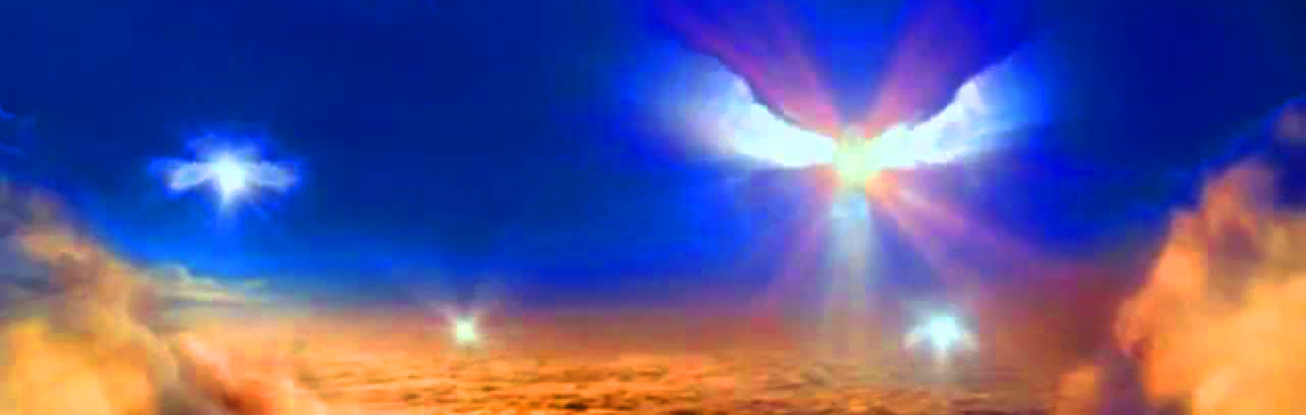 Overview: Angels Divine Encounters - Tricia McCannon Speaks